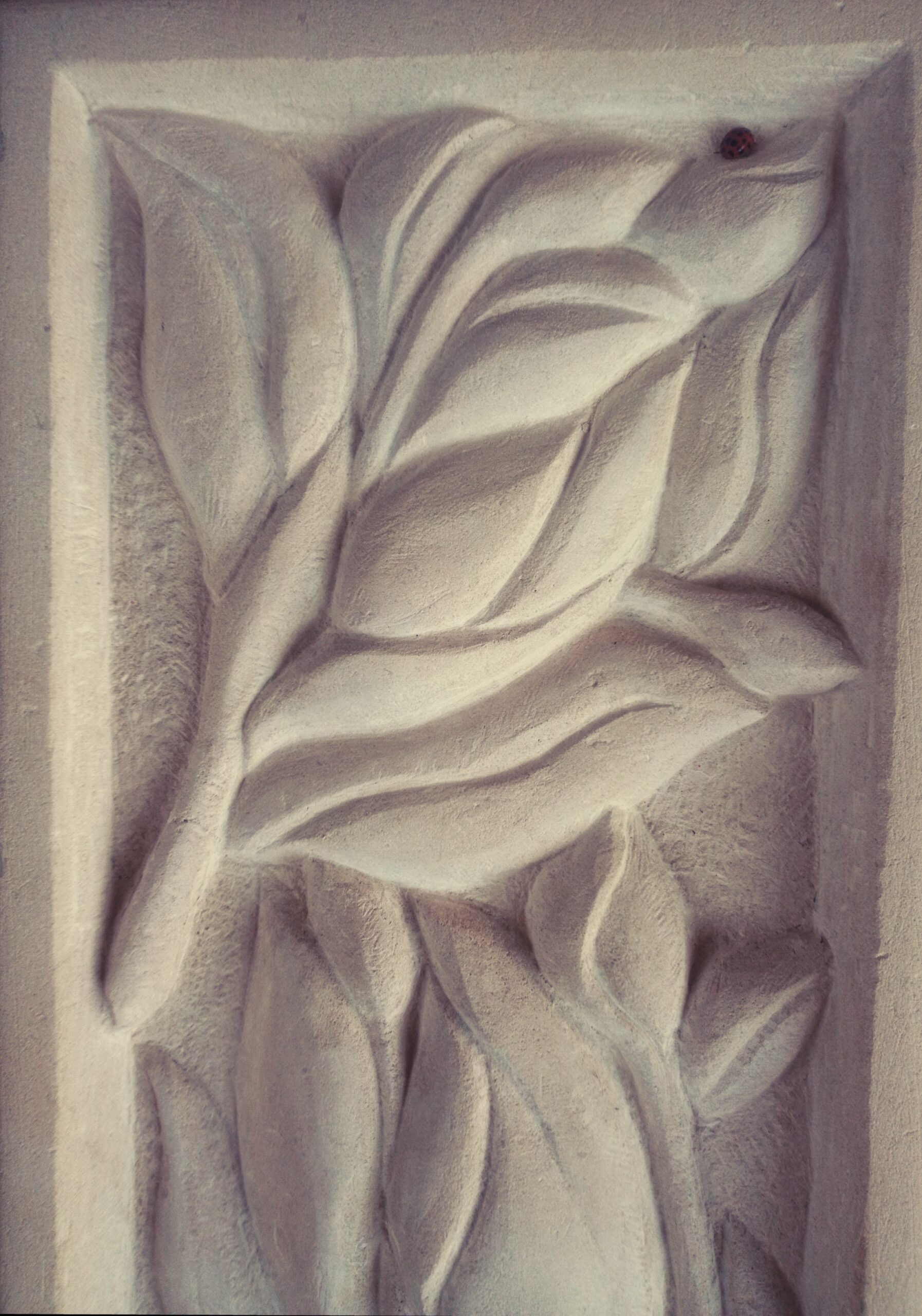 Gravure & bas-reliefs - dorure gravure