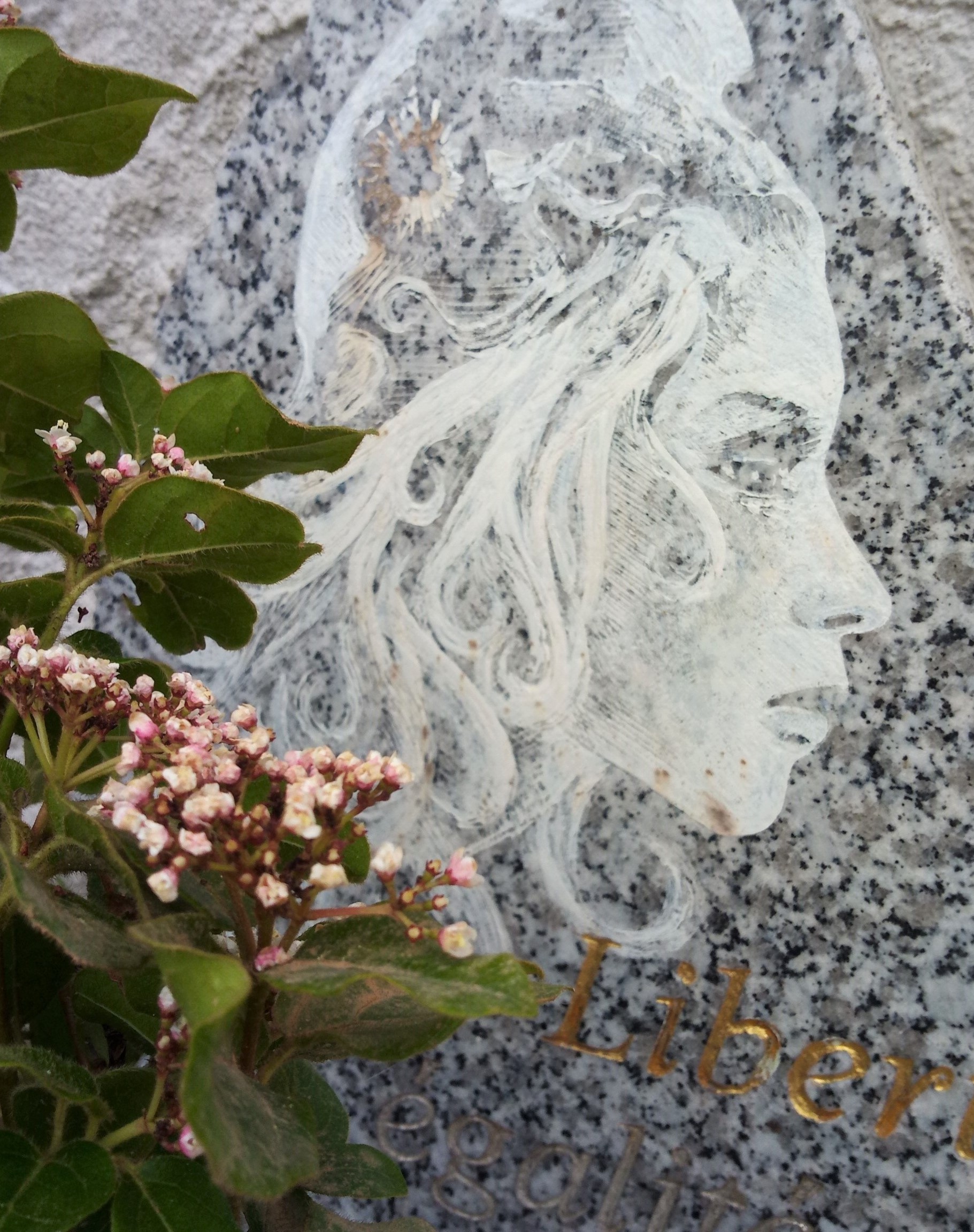 Gravure & bas-reliefs - Atelier Monciardini